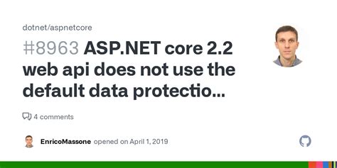 Aspnet Core 22 Web Api Does Not Use The Default Data Protection Key
