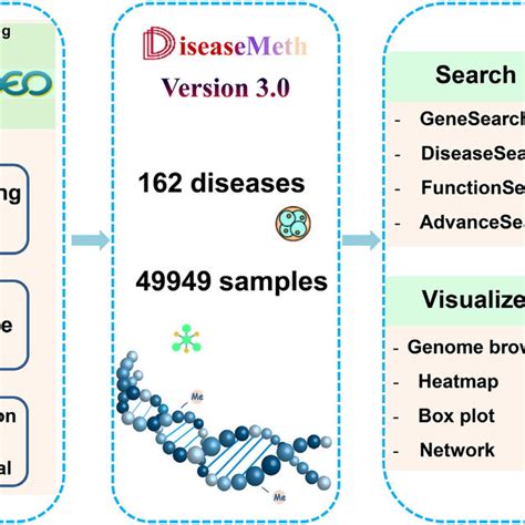 The Overall Framework Of Diseasemeth30 Database Download Scientific