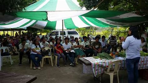 Modelong Gulayan Ng Bayan East West Seed Philippines Facebook