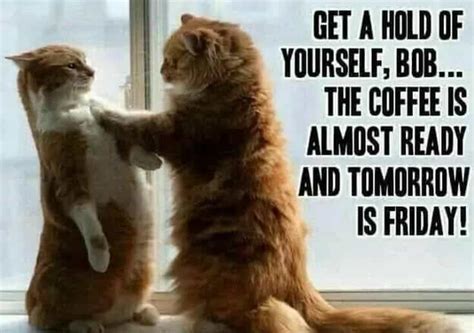 19 Hand Picked Hilarious Thursday Work Memes To Help You Survive The