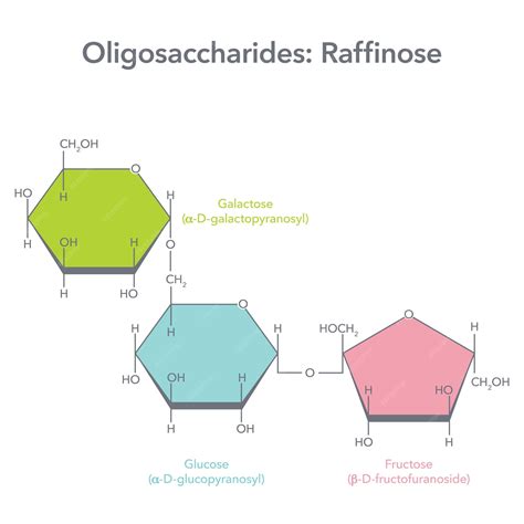 Premium Vector Raffinose Molecular Structure Vector Illustration Diagram