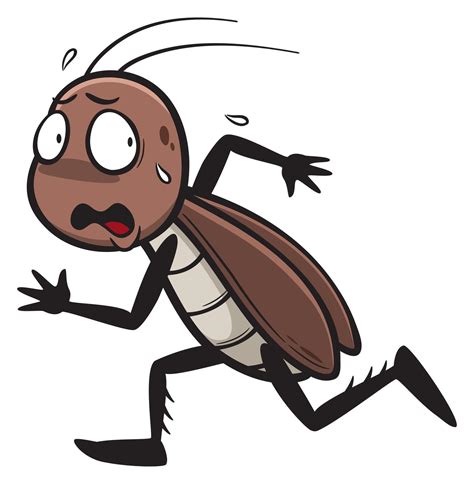 Cartoon Of A Cockroach Run 51729663 Vector Art At Vecteezy