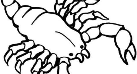 Easy Magic Tricks The Vanishing Toothpick Coloring Pages Natural