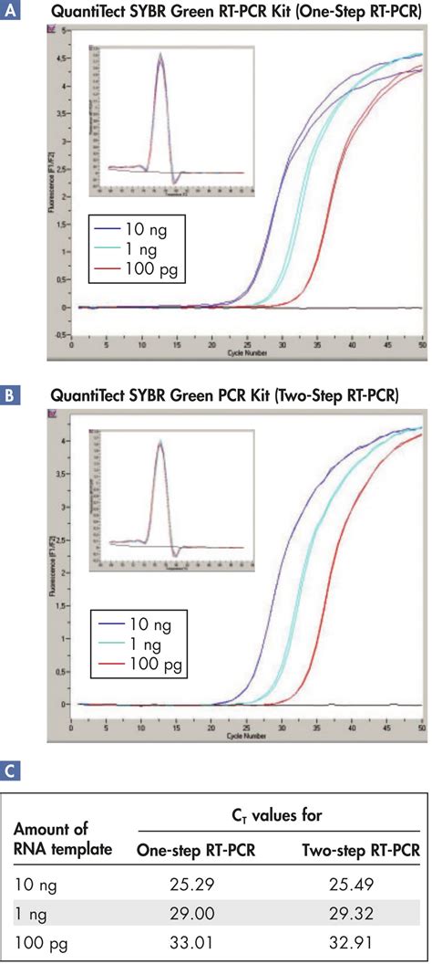 Quantitect Rt Pcr Kits