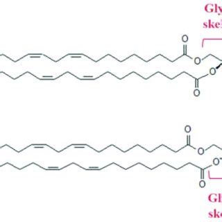 Structure Of Cardiolipin Cl Each Cl Possesses A Glycerol Head Group