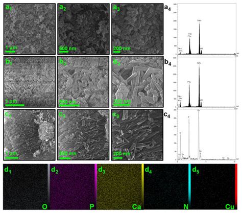 Nanomaterials Special Issue Surface Functionalization On