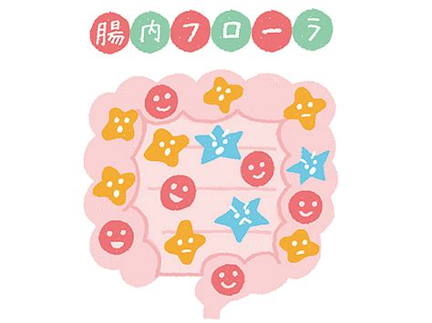 病気になりやすい臓器no 1は大腸！”腸内フローラ”を整えて健康に[医師が解説] Peachy ライブドアニュース
