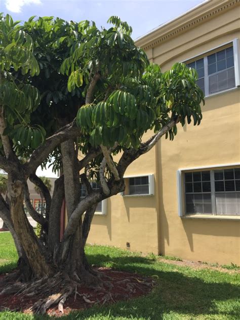 A Daughters Diary Part 2