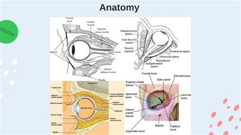 Preseptal Cellulitis Case Presentation Pdf