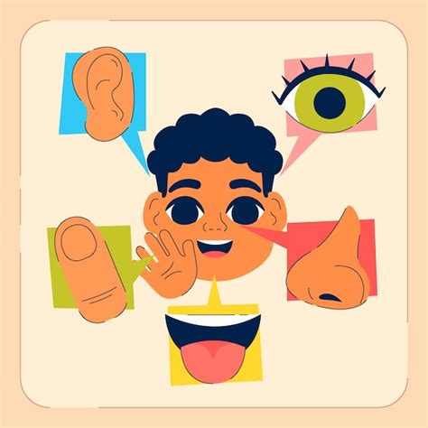 Making Sense Vectors And Illustrations For Free Download