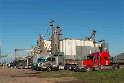 The Grain Game Inside A Rice Processing Plant Rice21 Grain