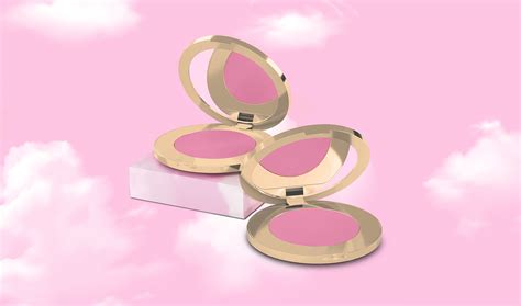 Blush Makeup Cosmestic Packaging Design On Behance