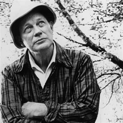 ”vårsyn” Av Vilhelm Ekelund Dagens Dikt Podcast Listen Notes