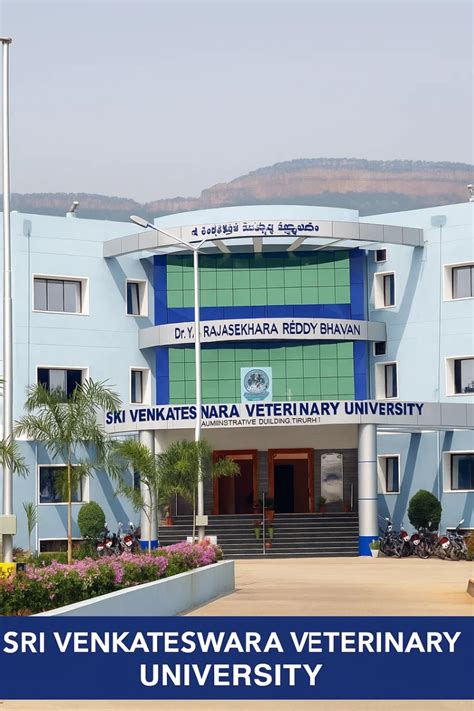 Svvu Admission 2025 Fees Courses Cutoff Ranking Placement