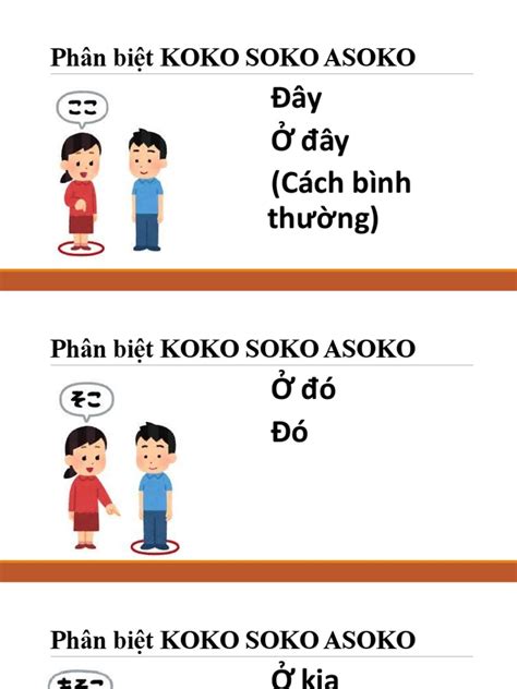 Phân Biệt Koko Soko Asoko Pdf