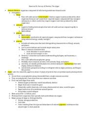 Bio Lab Ch Outline Exercise Survey Of Protists The Algae Domain Eukarya Organisms