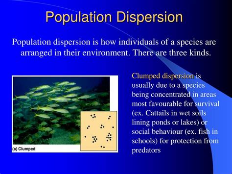 Ppt Population Ecology Powerpoint Presentation Free Download Id