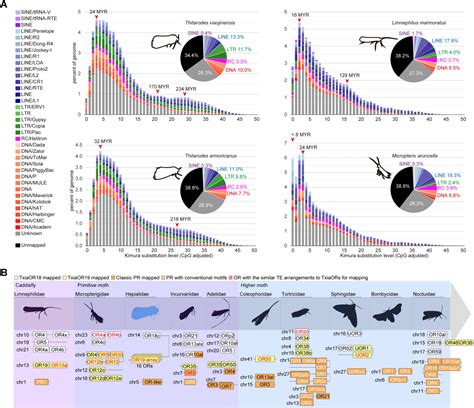 Figure 3 From A Ghost Moth Olfactory Prototype Of The Lepidopteran Sex