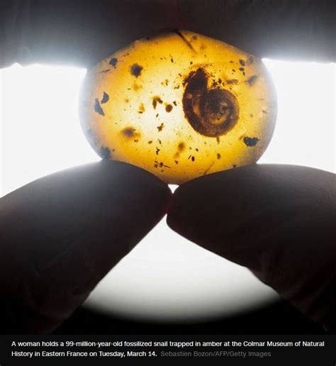 Alex Chaplin On Linkedin Time