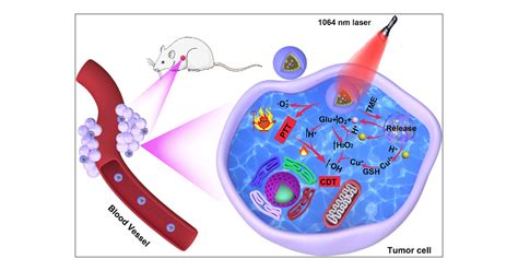Biomimetic Nanoarchitectonics Of Hollow Mesoporous Copper Oxide Based Nanozymes With Cascade