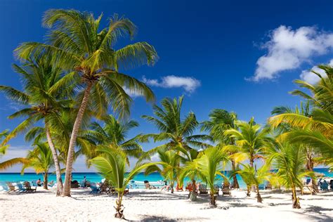 Luxury Travels
