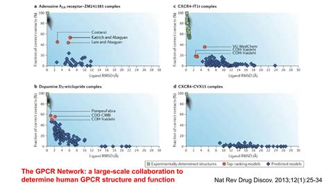 2 Gpcr Overview Pdfunderstanding Of The The Role Of G Coupled Receptors