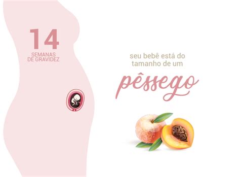 14 Semanas De Gravidez Blog Da Cordvida