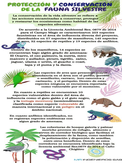 20240712infografía Preservación Y Conservacion De Especies Silvestres Pdf