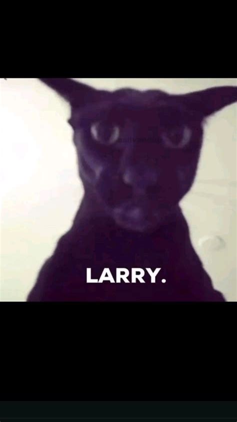 Larry The Cat Meme