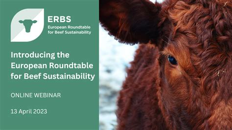 Introducing The European Roundtable For Beef Sustainability — Sai Platform