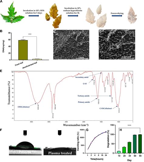 Frontiers In Vitro Modeling Of Hepatocellular Carcinoma Niche On