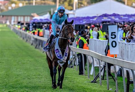 Hollywoodbets Durban July 2025 Final Field Revealed Hollywoodbets