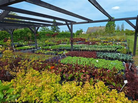 Centrum Ogrodnicze Sysiak Centrum Ogrodnicze Sysiak