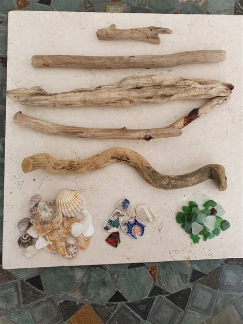 Driftwood Sea Glass Shells And Pottery Washed Up On The Jurassic