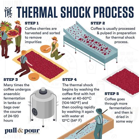 Thermal Shock Process Cmg