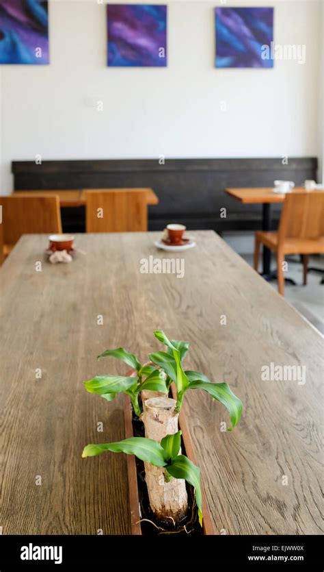 Rocanini Coffee Roasters Cafe Steveston Village Richmond Bc Canada