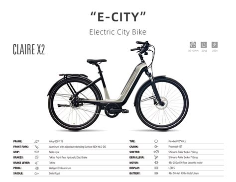 Landon Electric Cycle Made In Taiwan China Factory Supply 48v Electric City Bicycle Ebike On