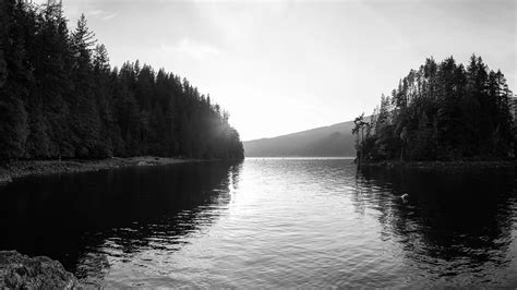 Solus Trust New Brand Identity Launch Vibrant Marketing