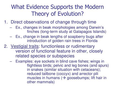Ppt What Are The Postulates Of Darwins Theory Powerpoint