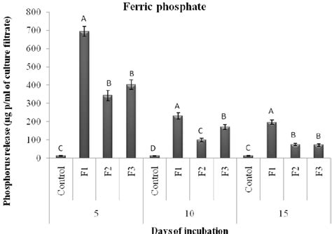 Ferric Phosphate Solubilization By Different Fungal Isolates Bars Are