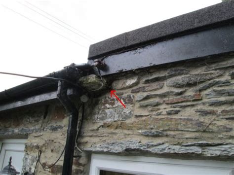 Pentrefelin Cutout May 2014