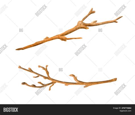 Wooden Branch Stick