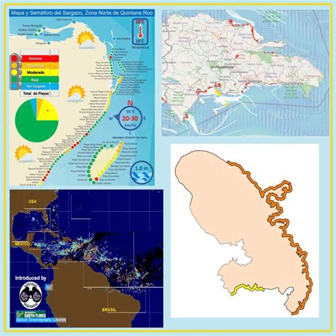 N°1 Citizen Science Network Sargassum Maps And Forecasts