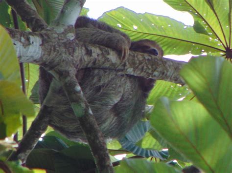 Erick Cedeño Posted On Linkedin