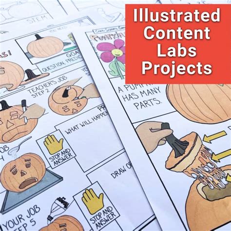 Pumpkin Investigation First Grade Diagram Worksheet Parts Of A Pumpkin