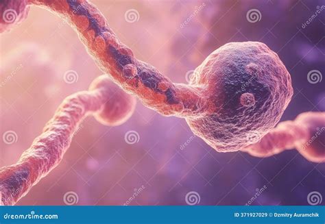 Trichomonas Vaginalis In Secret Vagina Specimen Royalty Free Stock