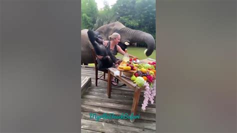 Angada Bubbles And Moksha Bybee Loving A Gorgeous Fruit Spread Youtube