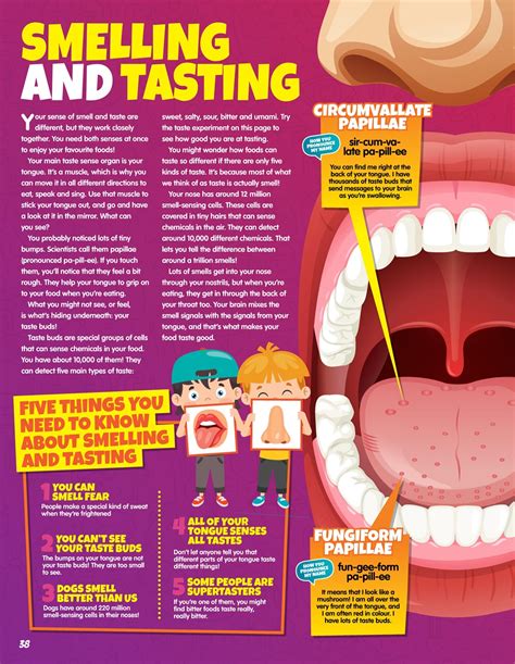 Future Genius Bookazine Future Genius The Human Body Issue 3 Revised