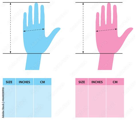 Male Vs Female Hand Comparison At Lois Lumpkin Blog