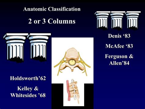 Ppt Principles And Treatment Of Spinal Injuries Powerpoint